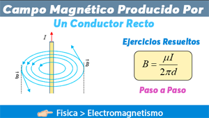Campo Magnético producido por un conductor recto - Ejercicios Resueltos