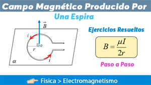 Campo Magnético Producido por una Espira - Ejercicios Resueltos
